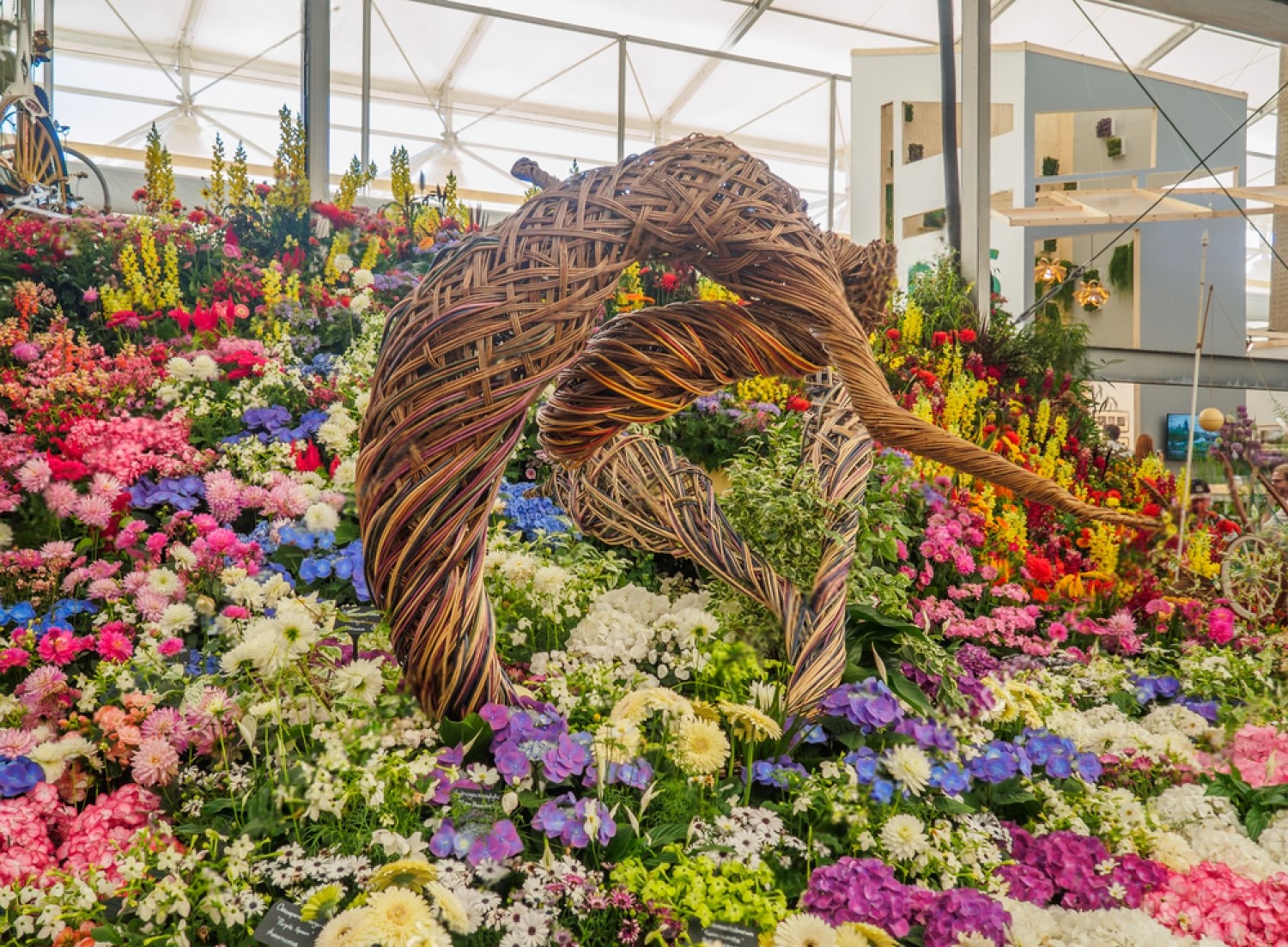 How to Enjoy the RHS Chelsea Flower Show Like a Pro